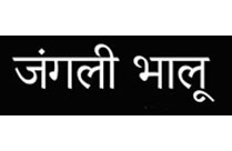 JANGLI BHALOO Hindi Play/Drama - www.MumbaiTheatreGuide.com