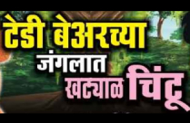 TEDY BEAR CHYA JANGALAT KHATYAL CHINTU Marathi Play/Drama - www ...