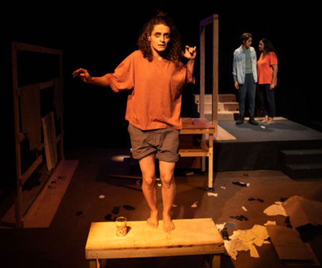 SWALLOW play review , English play review - www.MumbaiTheatreGuide.com